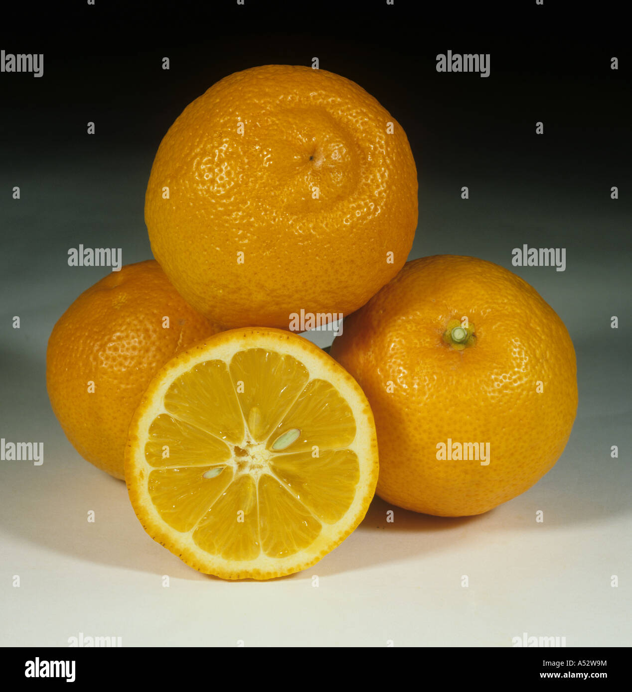 Rootstock hi-res stock photography and images - Alamy