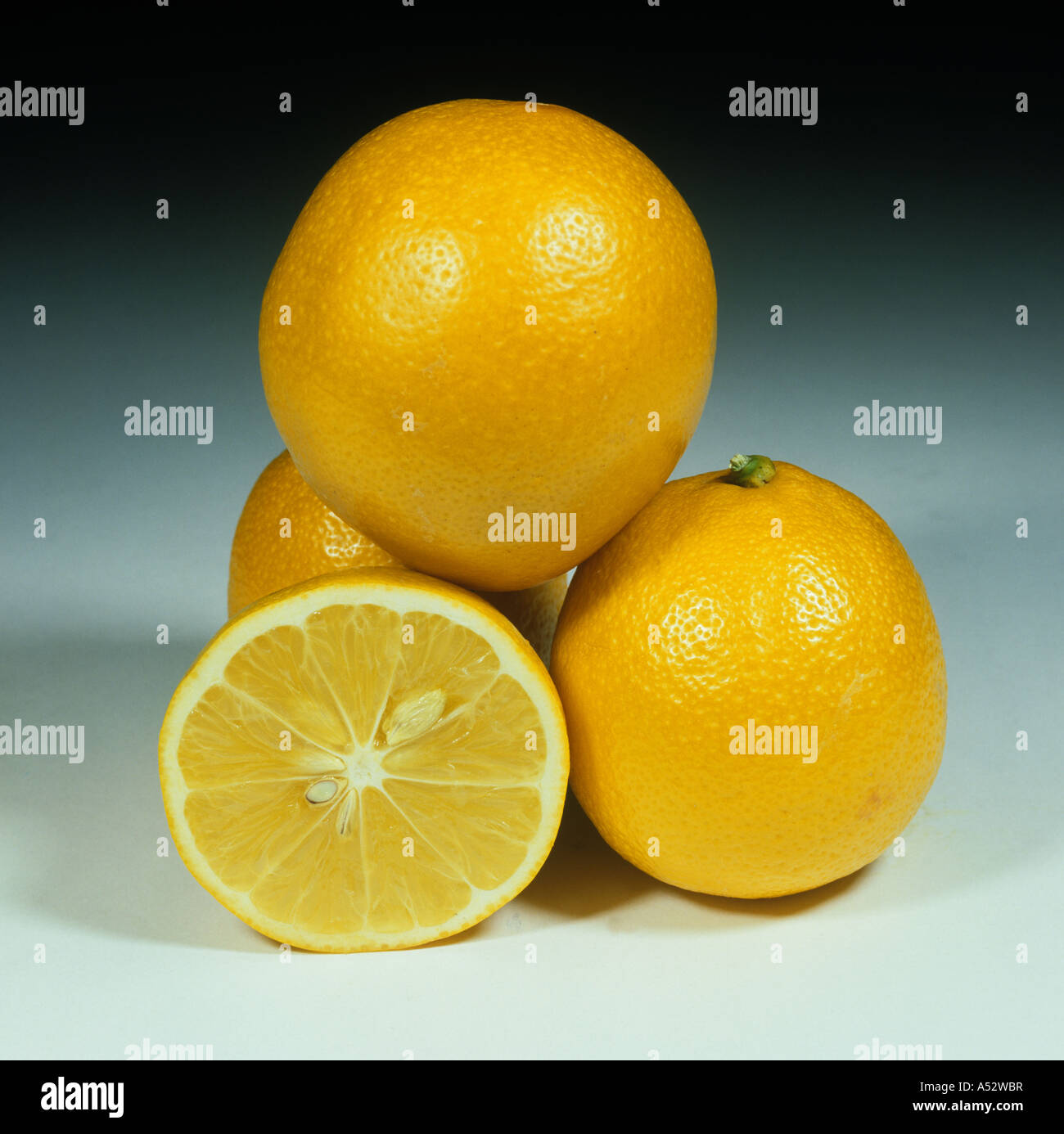Citrus meyer lemon hi-res stock photography and images - Alamy