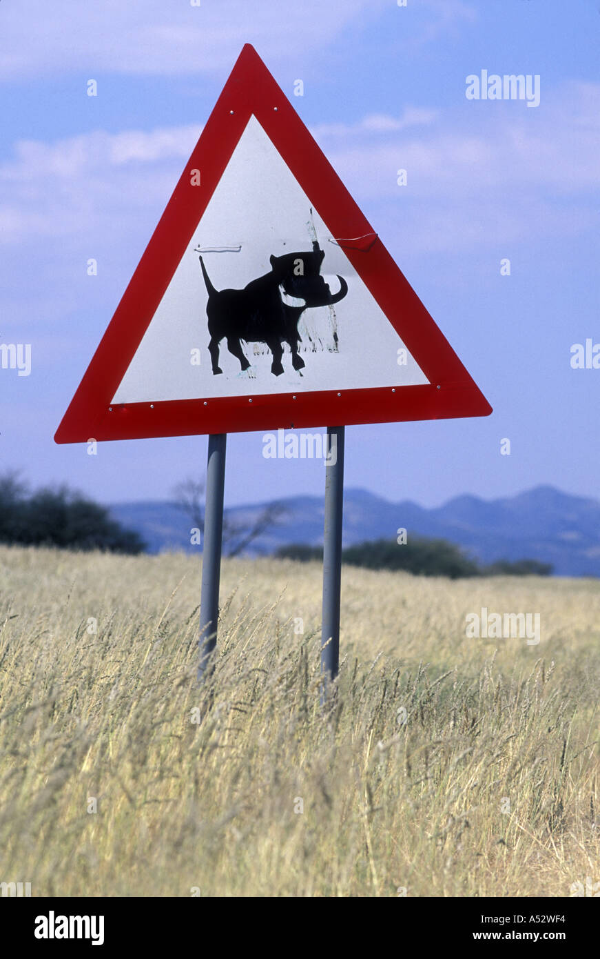 Namibia Warthog Crossing sign along National Highway B1 north of ...