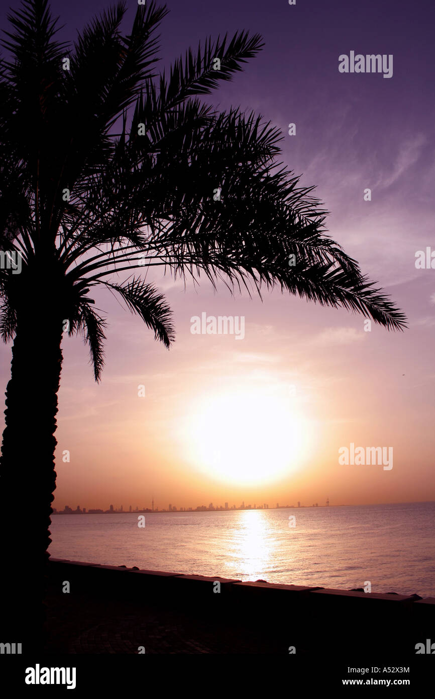 Kuwait arab middleeast hi-res stock photography and images - Alamy