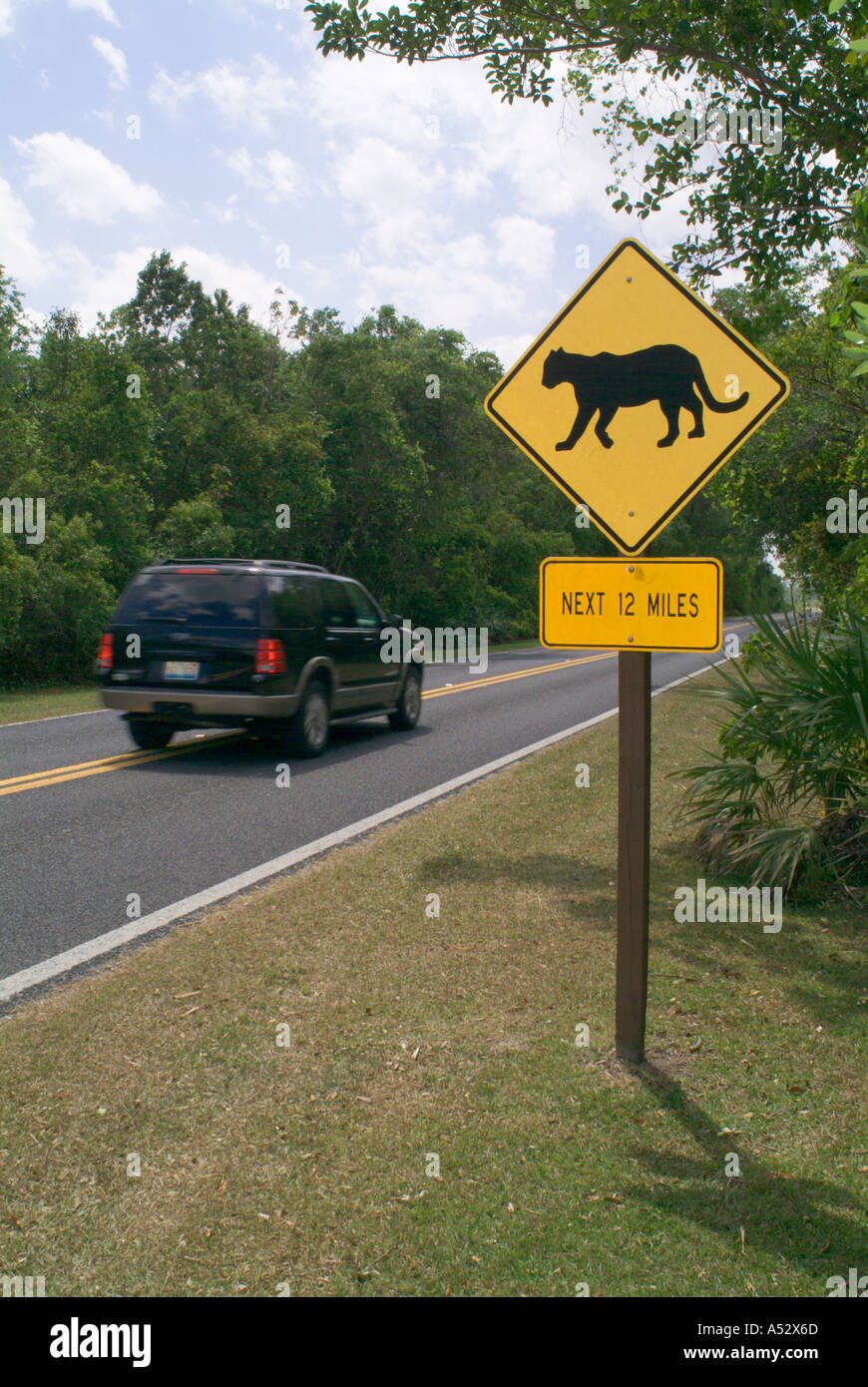 Panther crossing sign hi-res stock photography and images - Alamy
