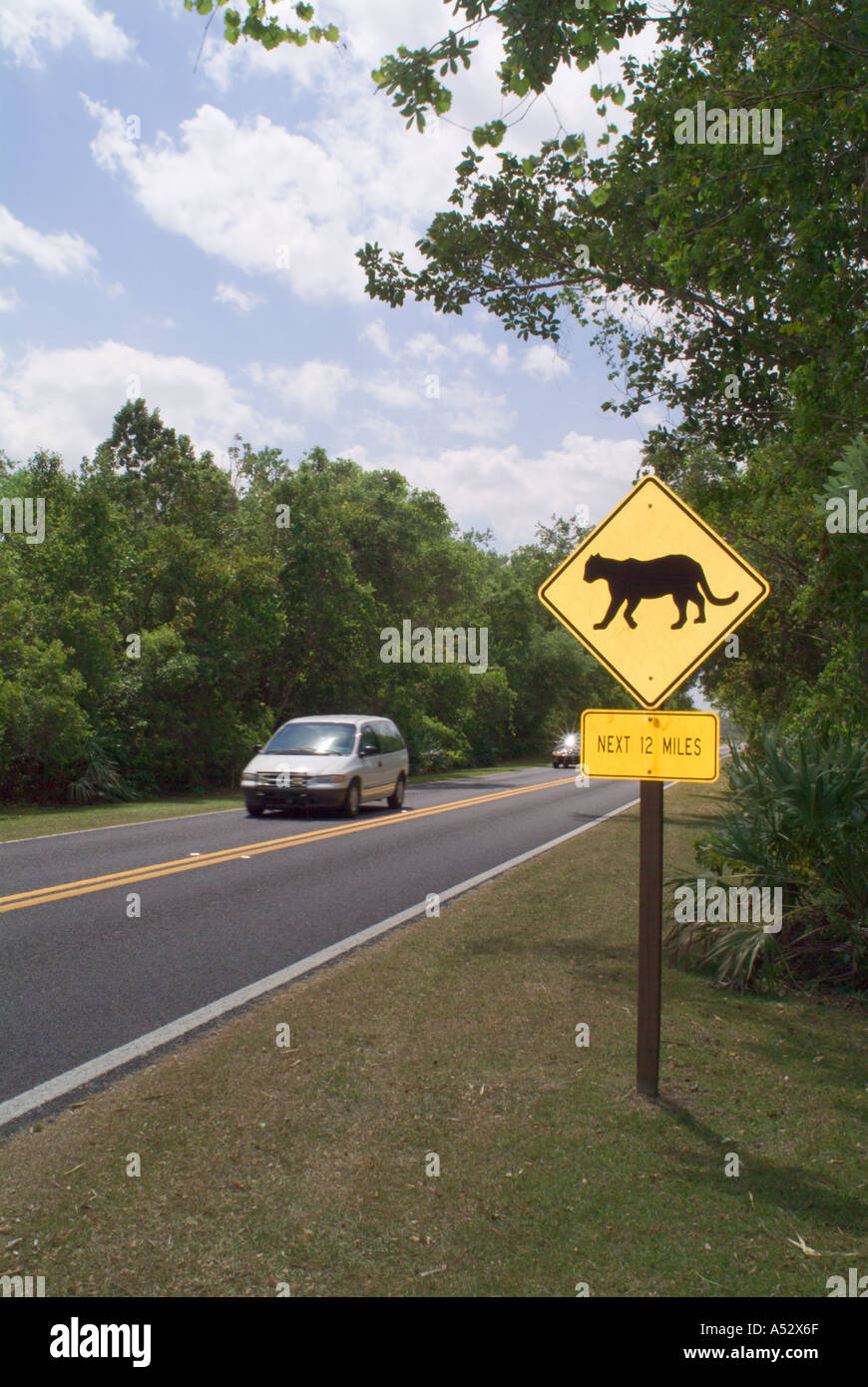 Florida Panther caution sign Everglades National Park ENP Florida FL ...