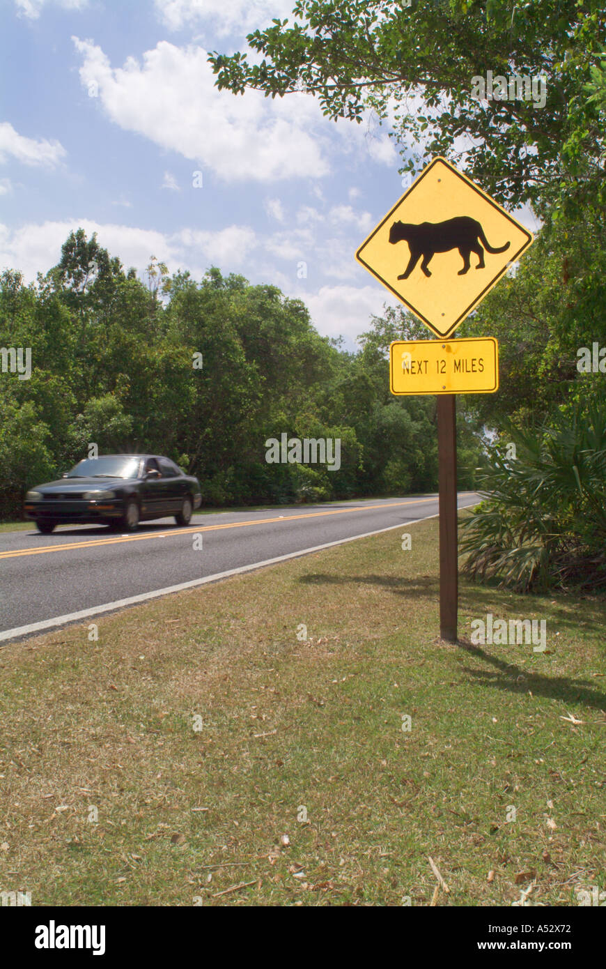 Panther crossing sign hi-res stock photography and images - Alamy