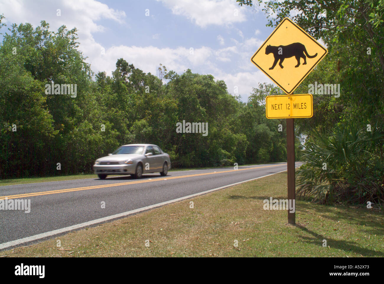 Florida Panther caution sign Everglades National Park ENP Florida FL ...