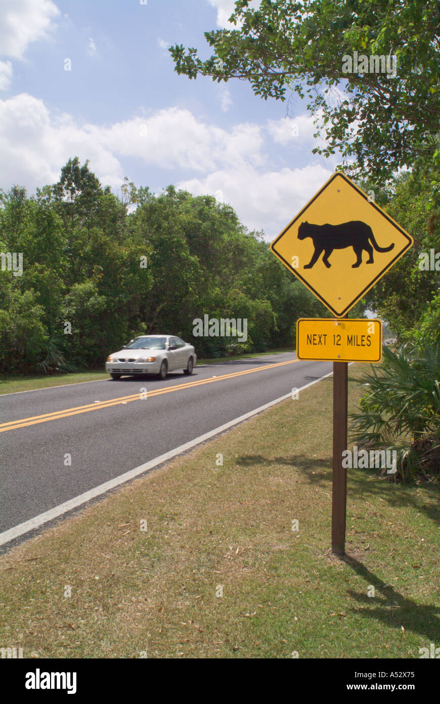 Florida panther crossing sign hi-res stock photography and images - Alamy