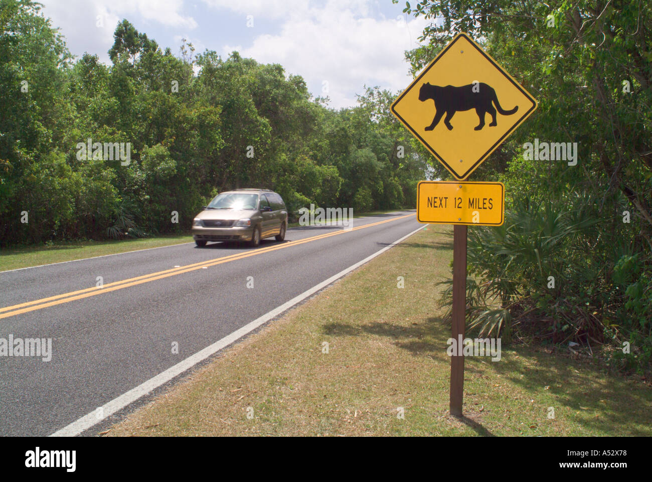 Florida panther crossing sign hi-res stock photography and images - Alamy