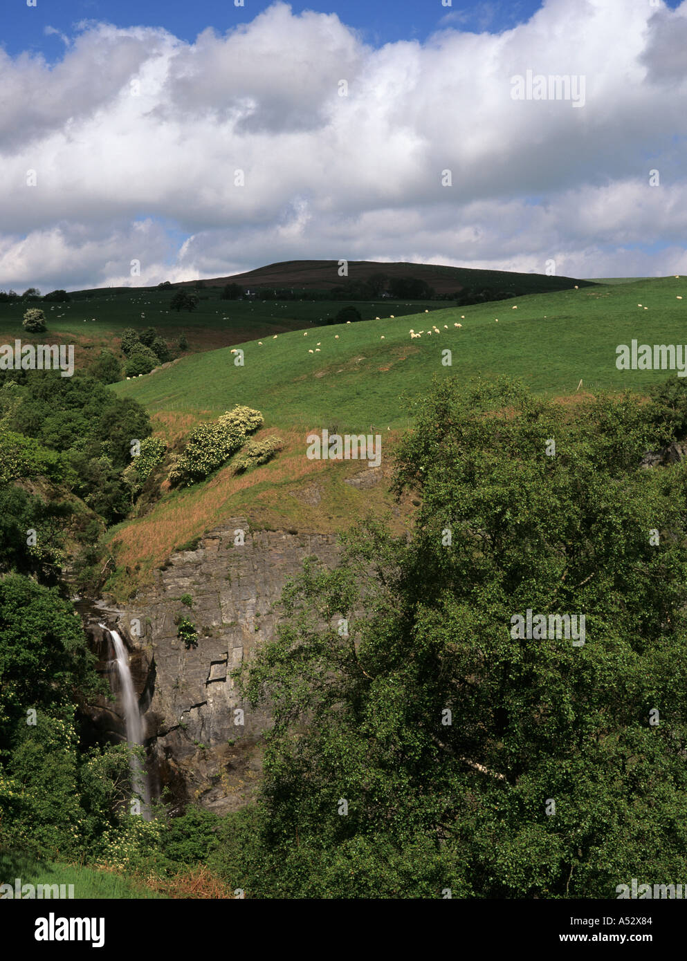 FFRWD FAWR WATERFALL in summer where the river Twymyn drops down a ...