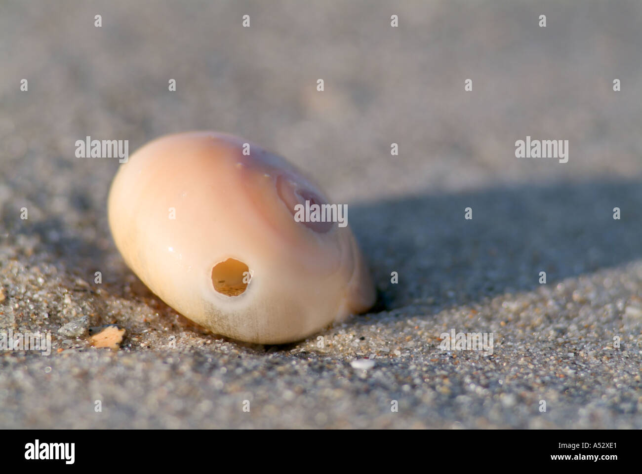Hole bored hi-res stock photography and images - Alamy