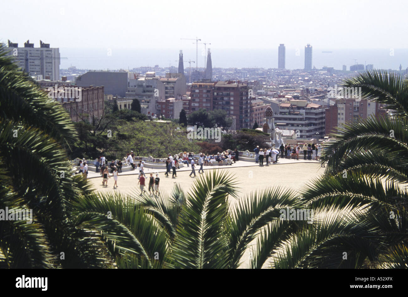 Barcelona gaudi park trees hi-res stock photography and images - Alamy