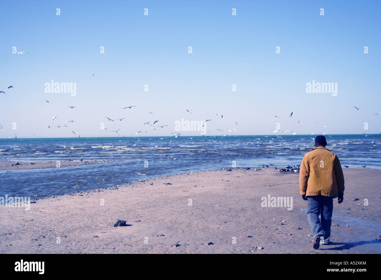 man walk by the sea Stock Photo - Alamy