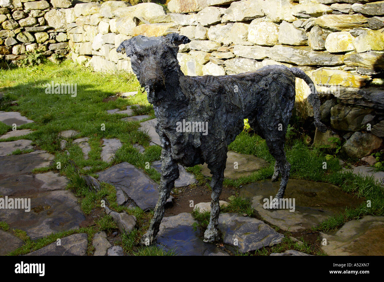 Beddgelert Snowdonia Dog High Resolution Stock Photography and Images ...