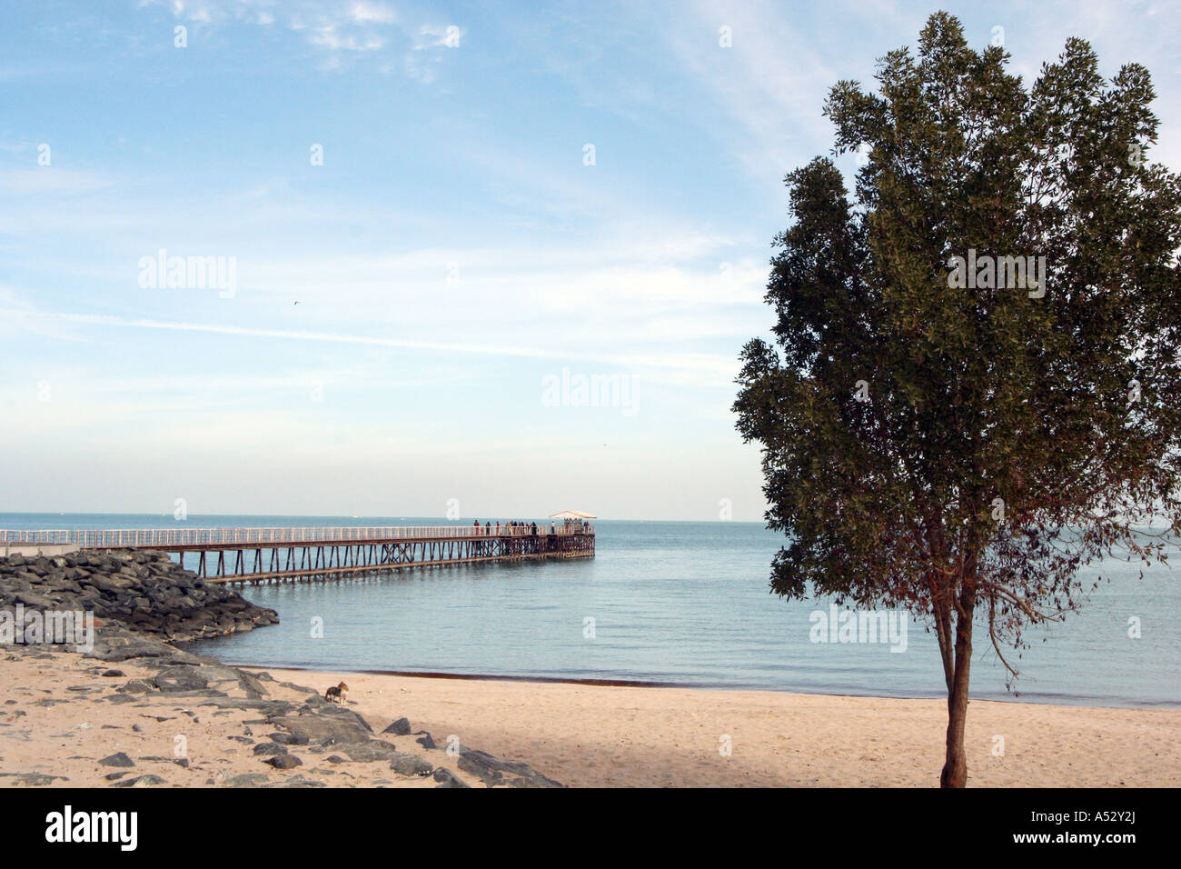 kuwaiti beach in kuwait Stock Photo - Alamy