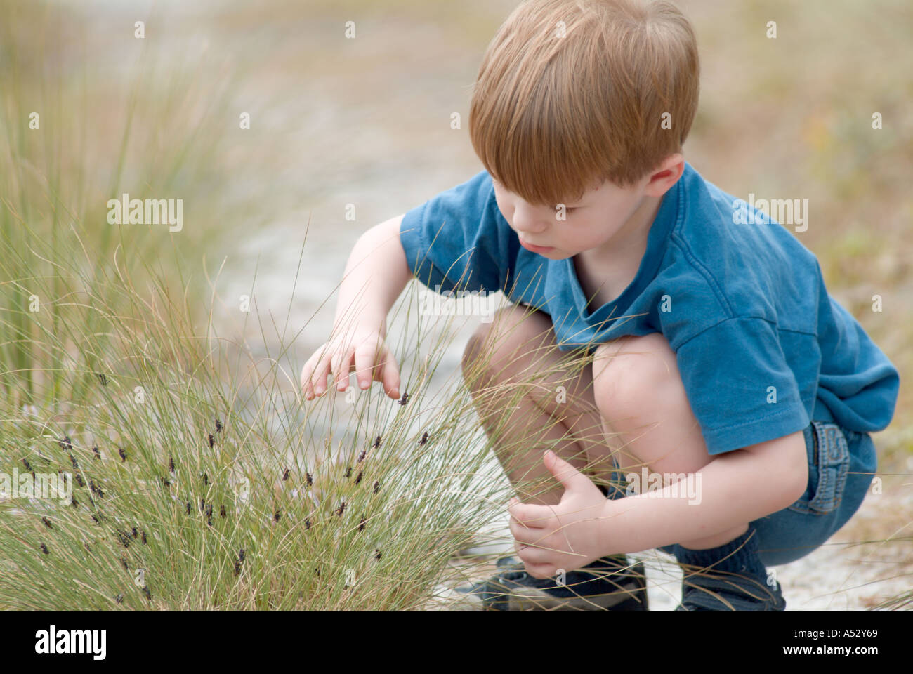 Savannas State Preserve young boy exploring Stock Photo - Alamy