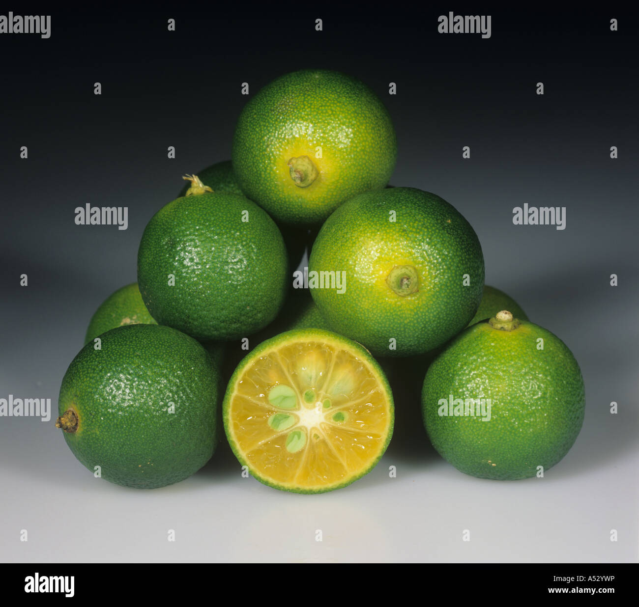 Calamondin limes hi-res stock photography and images - Alamy
