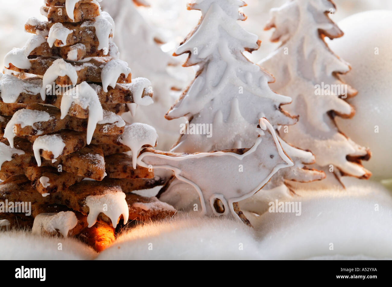 Trees and forest bird hi-res stock photography and images - Alamy
