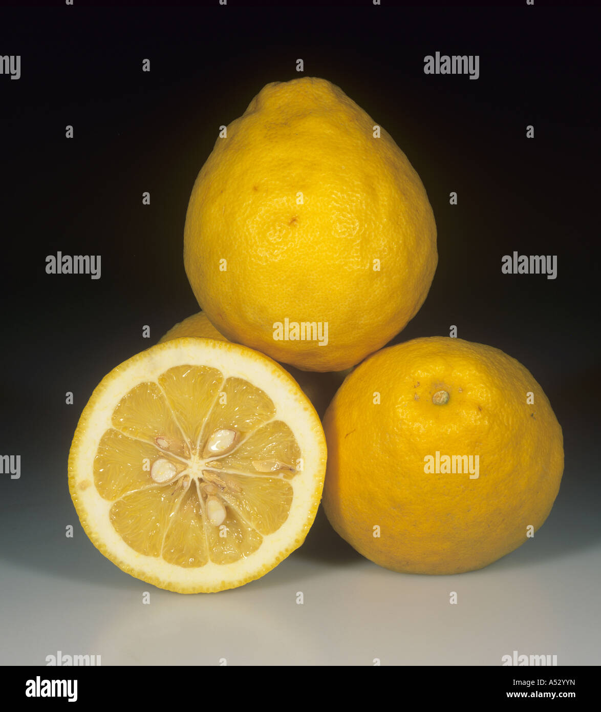 Whole sectioned fruit of citrus rootstock Swingle Citrumelo Stock Photo ...