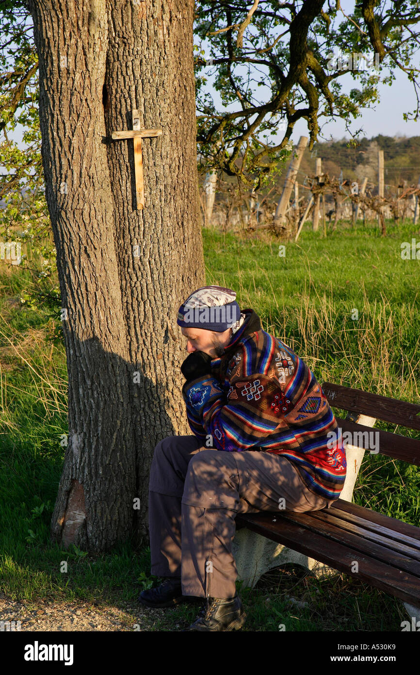 Man sitting on bench beyond tree with cross at Großau near Bad Vöslau ...