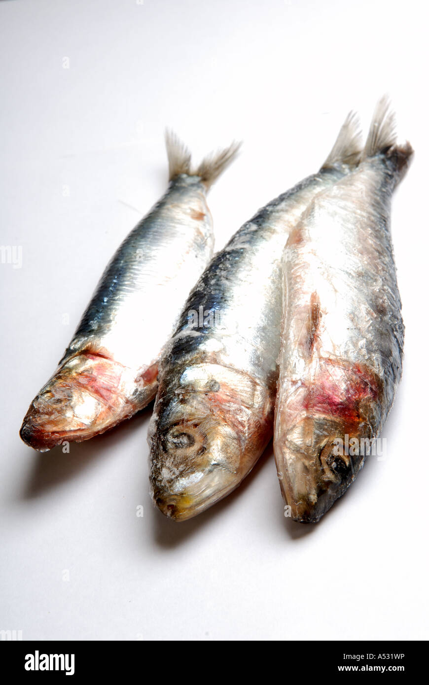 The sardines hi-res stock photography and images - Alamy