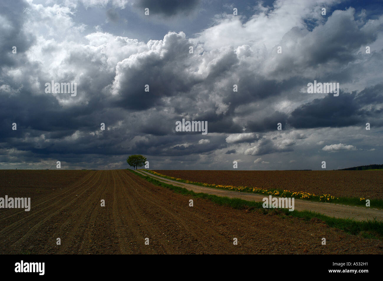 Track Across Field High Resolution Stock Photography and Images - Alamy