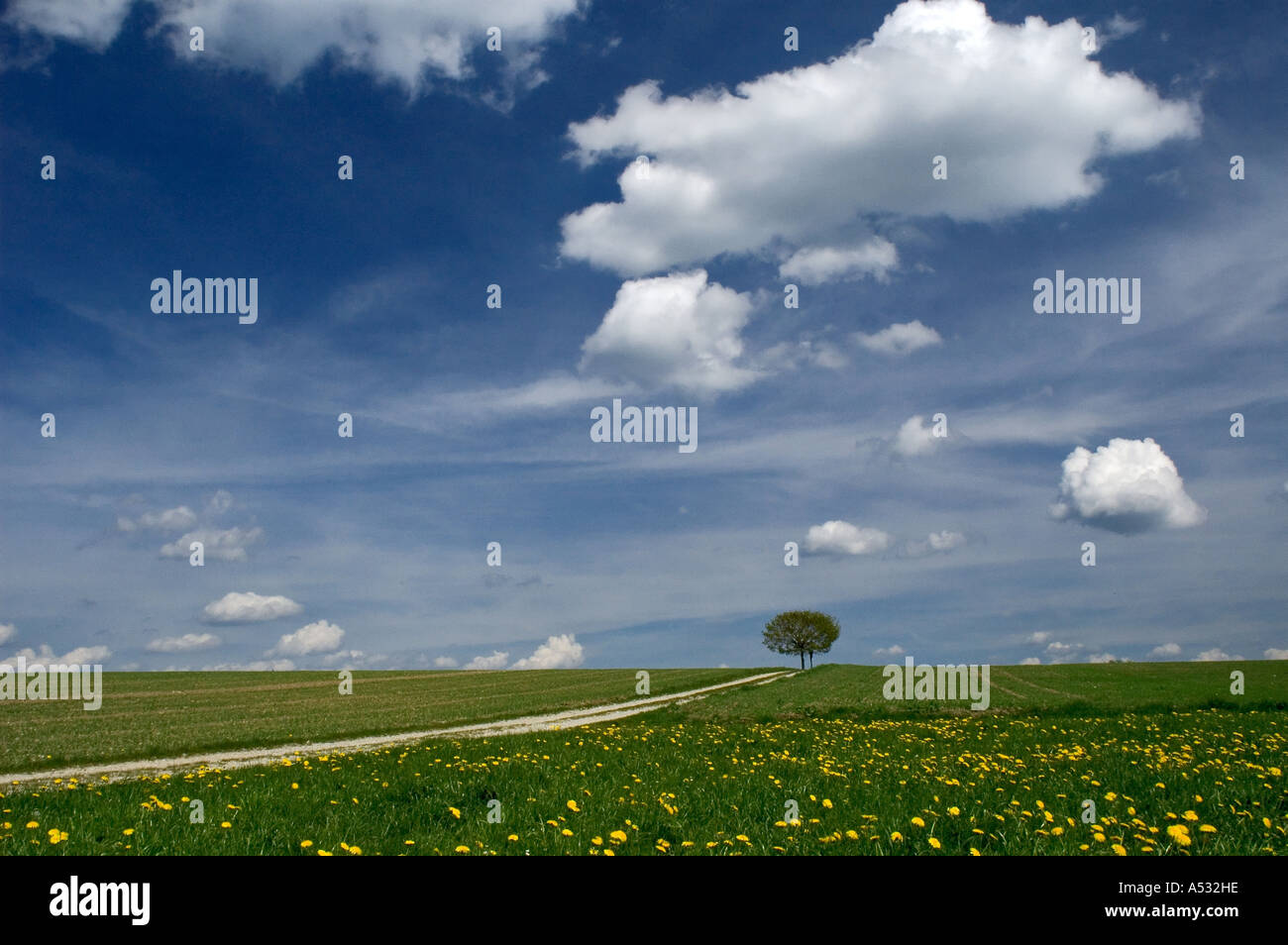 Track Across Field High Resolution Stock Photography and Images - Alamy