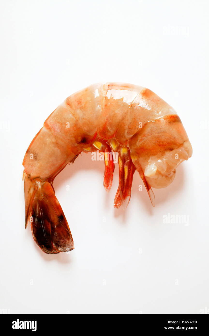 Shrimp without head Stock Photo - Alamy