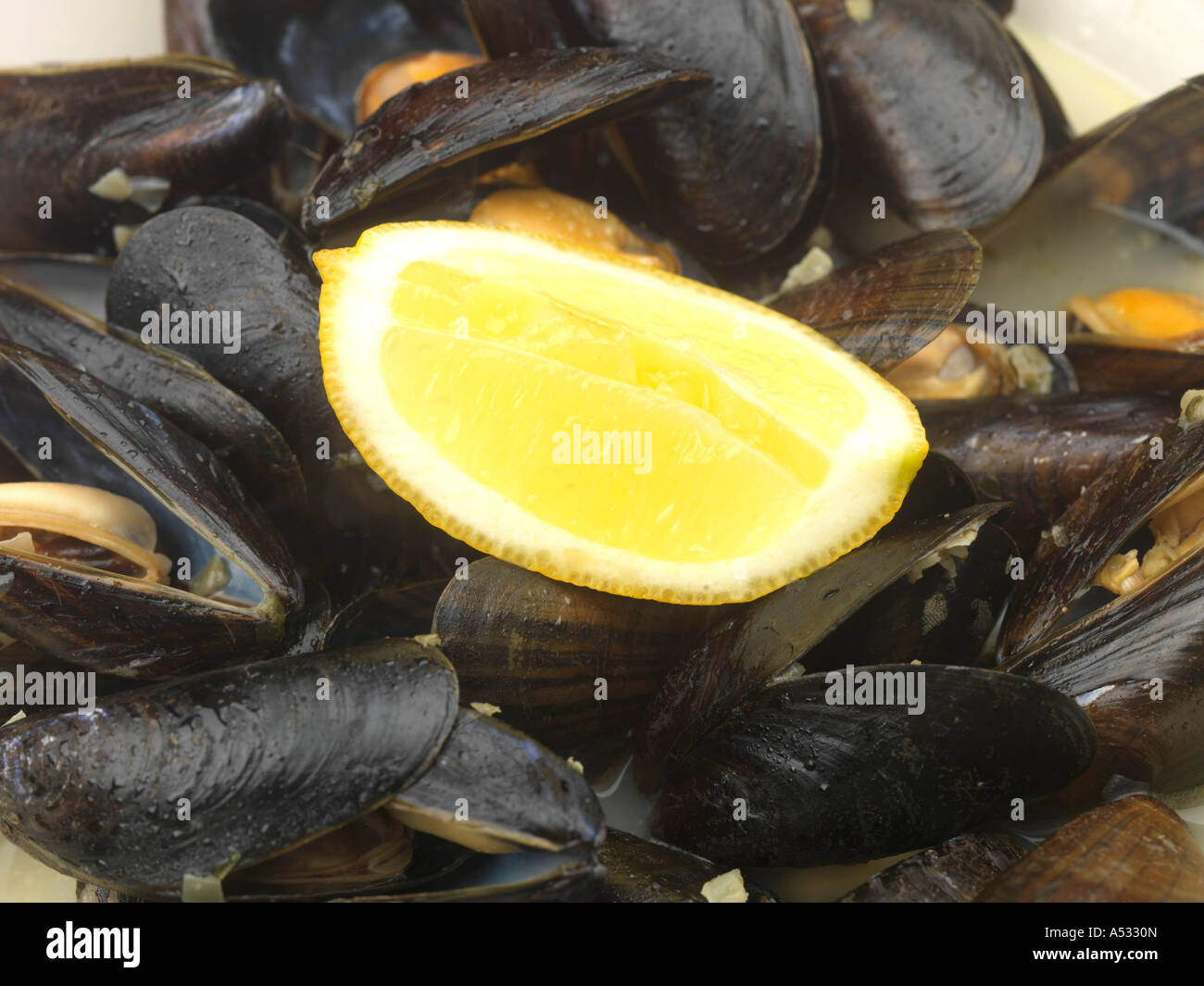 Fresh muscles seafood fish shellfish hi-res stock photography and ...