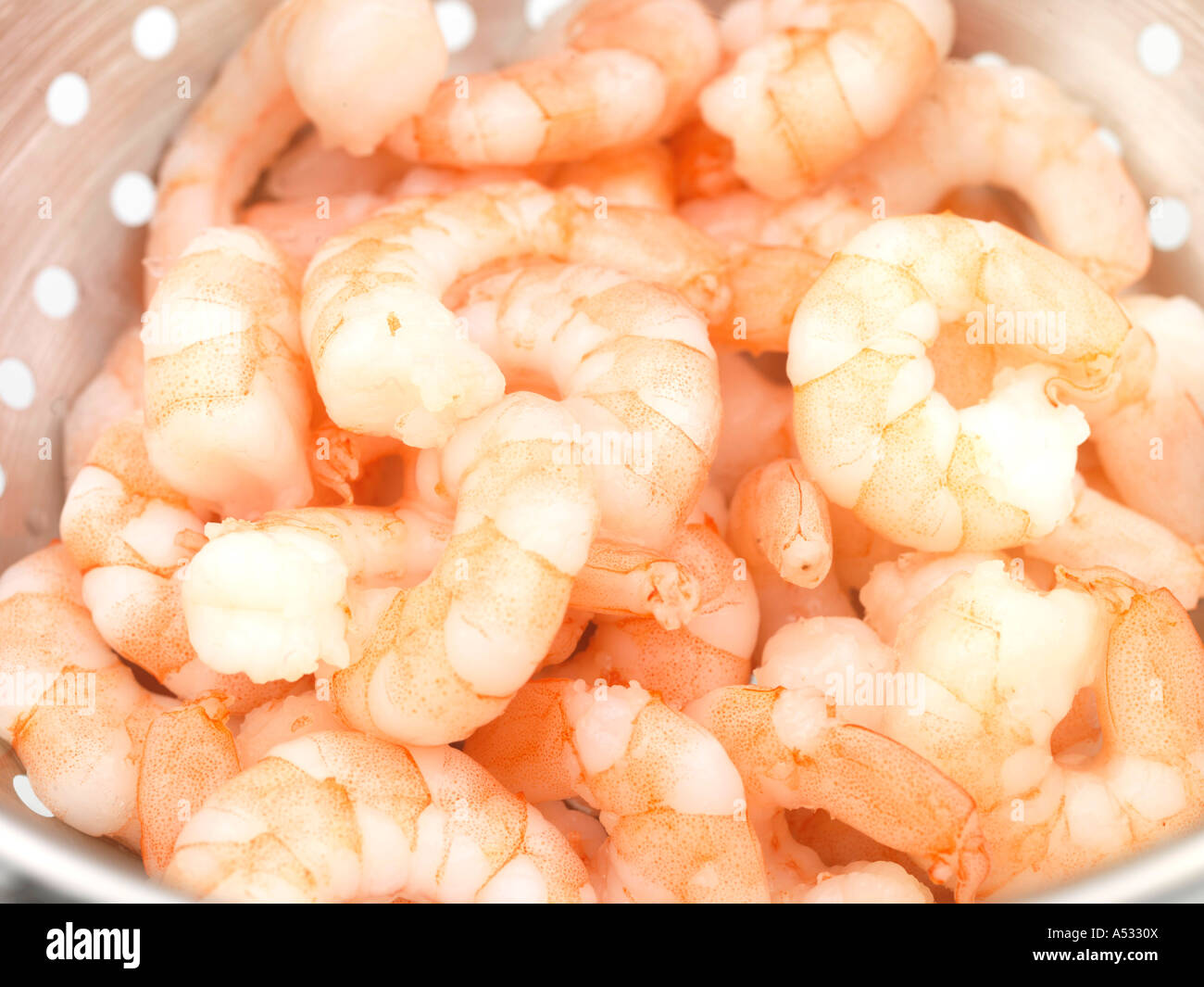 Freshly Prepared And Cooked Succulent Fresh Prawns Ready To Eat ...