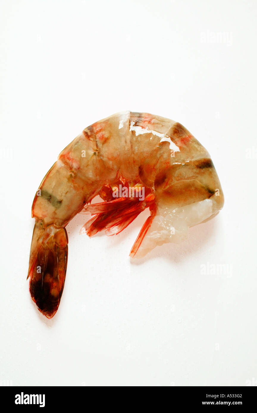 Fresh shrimp without head Stock Photo - Alamy