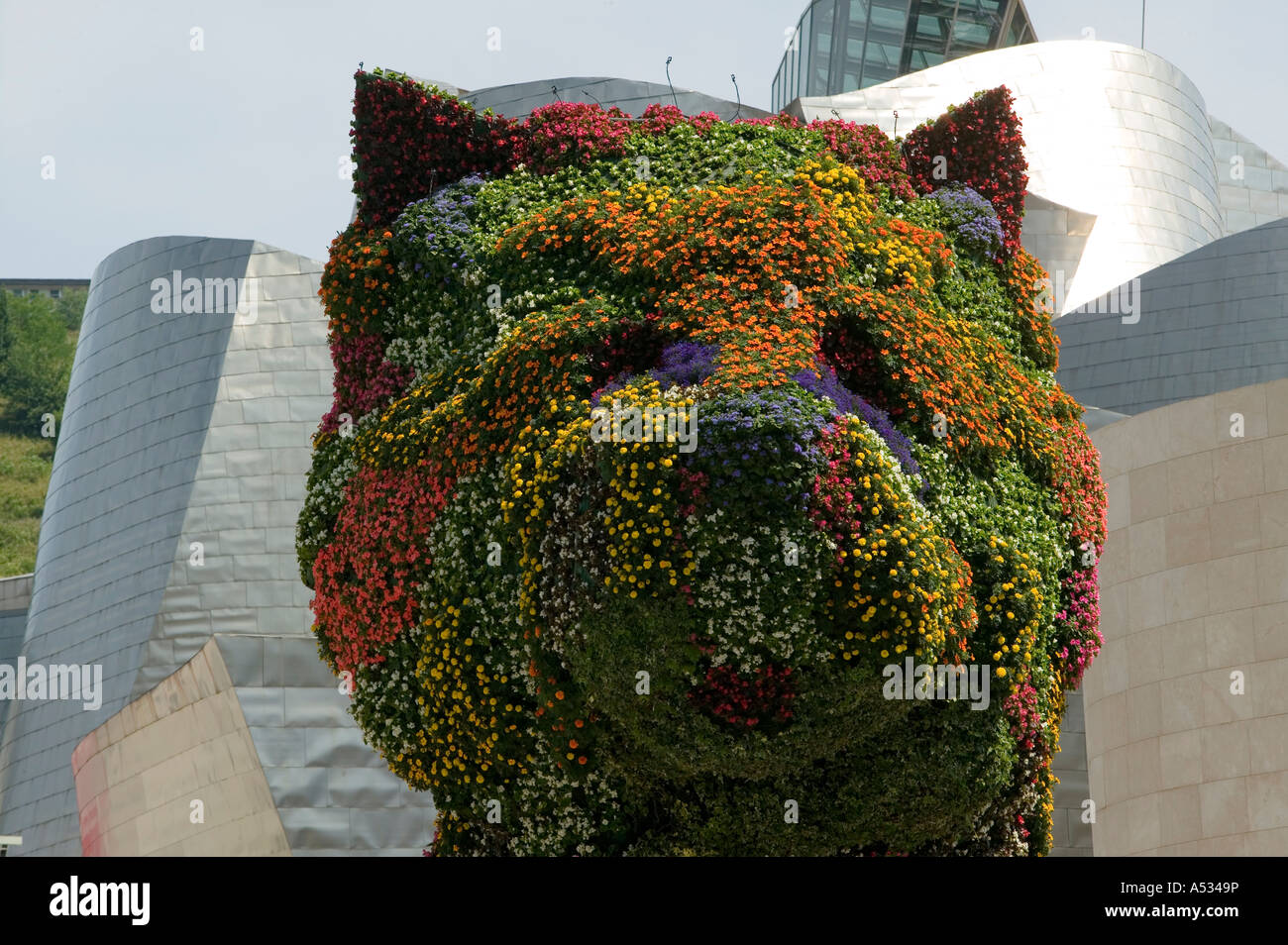Dog topiary hi-res stock photography and images - Alamy