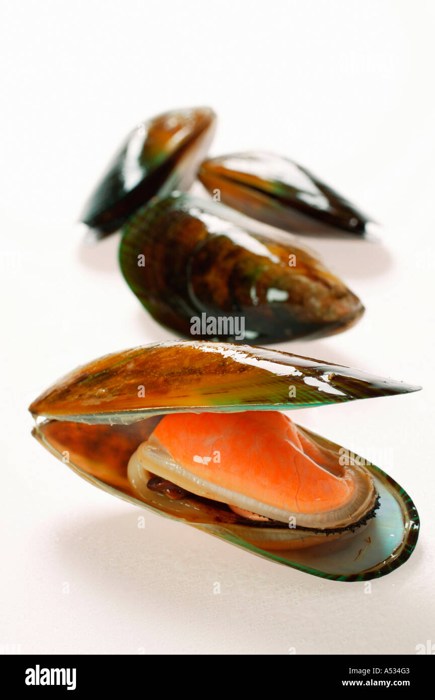 New Zealand mussels one opened Stock Photo - Alamy