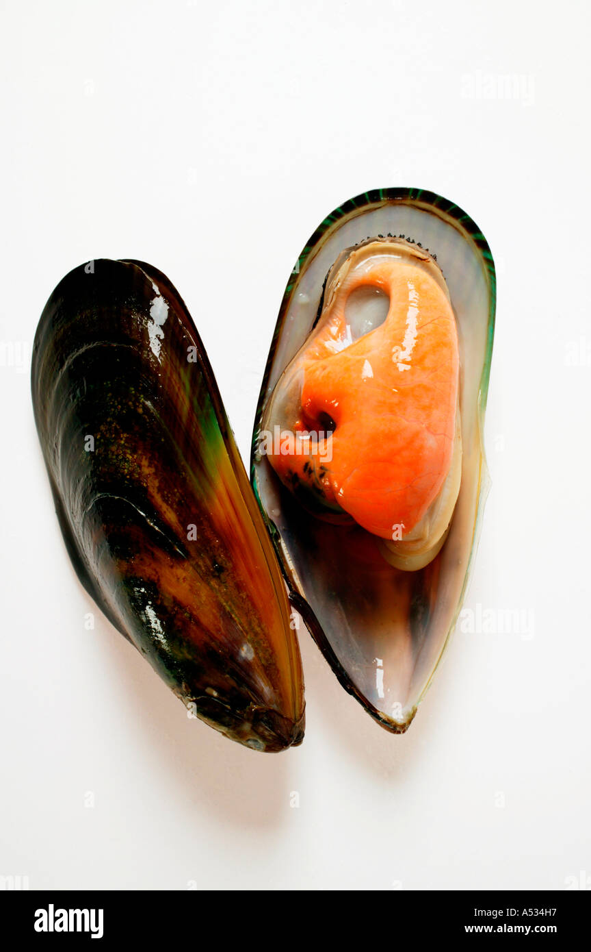 New Zealand mussel with mussel shells Stock Photo - Alamy