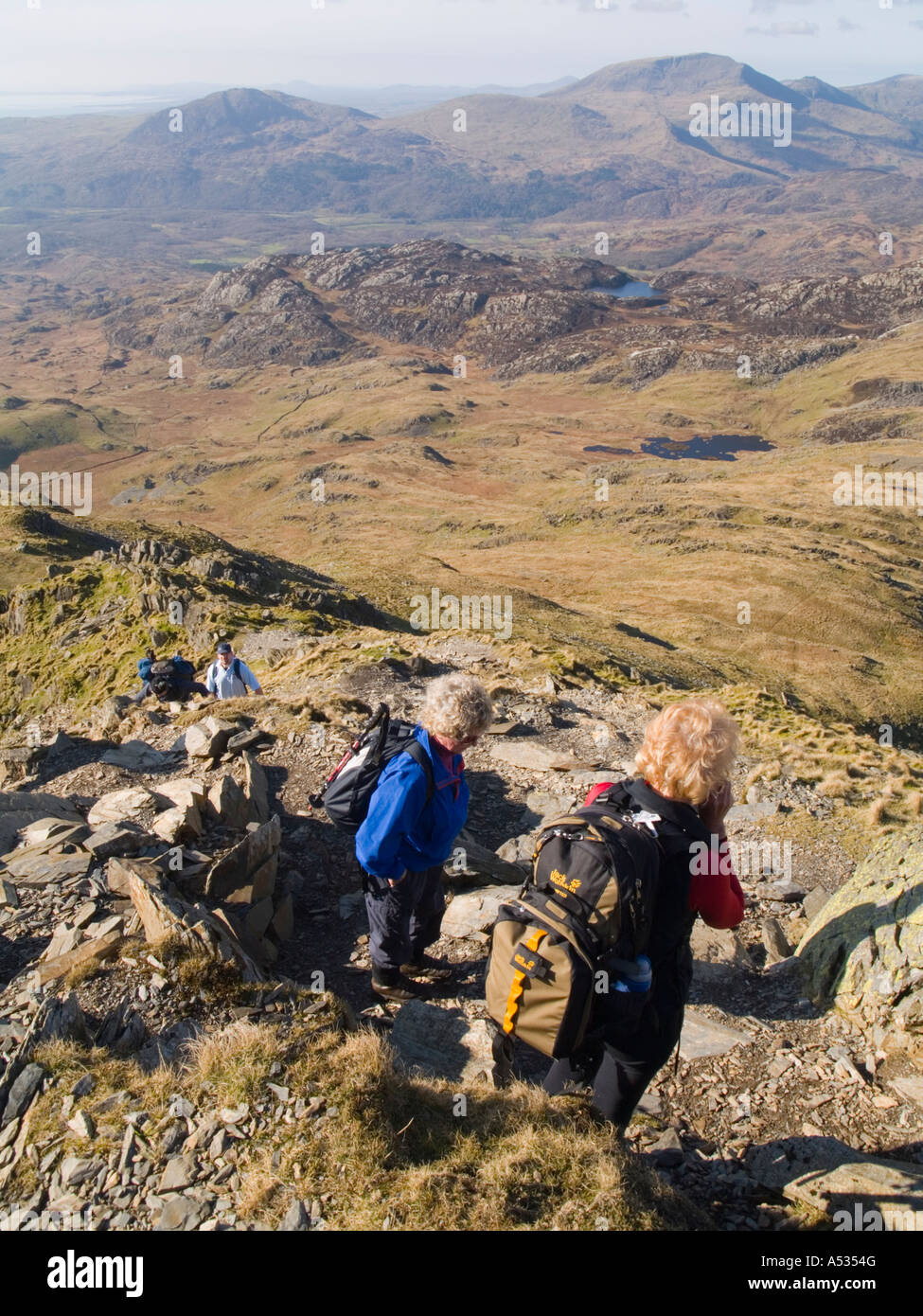 Ramblers group walking on path following ridge up to Cnicht mountain in ...