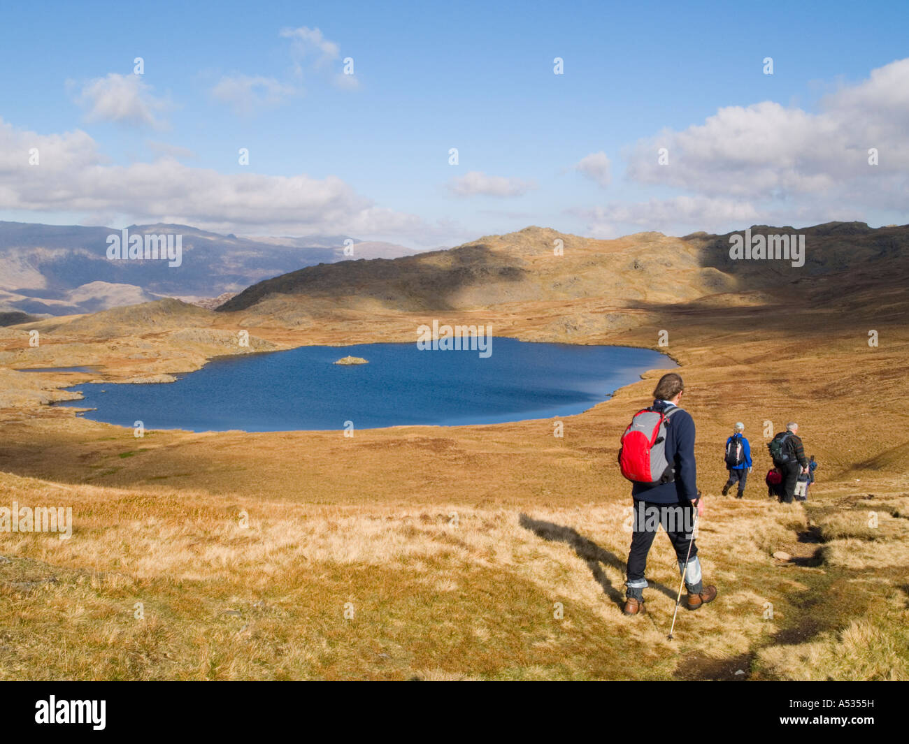 Llyn yr adar hi-res stock photography and images - Alamy