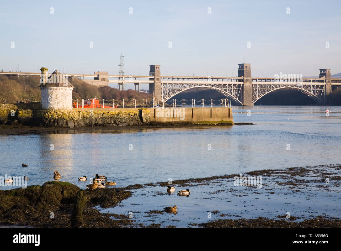 Britannia rail bridge hi-res stock photography and images - Alamy