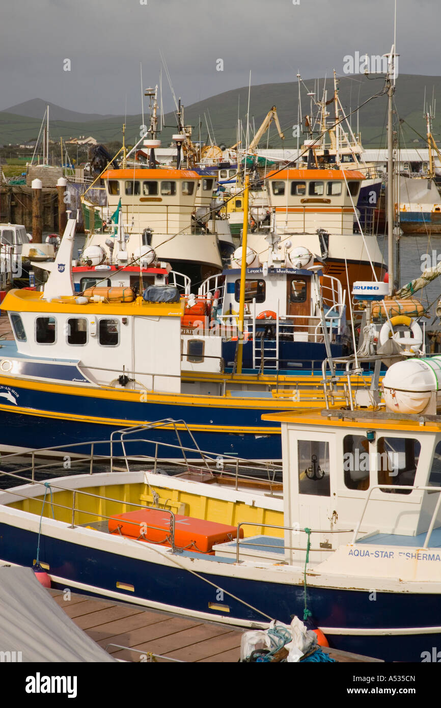Natural harbour fishing port with colourful fishing Eco tour boats on ...