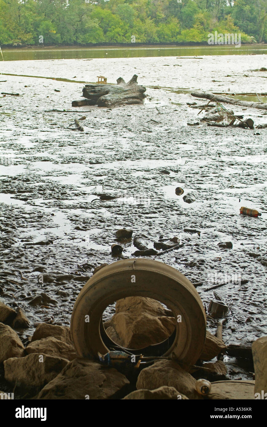 Pollution in the Anacostia River Washington DC Stock Photo - Alamy