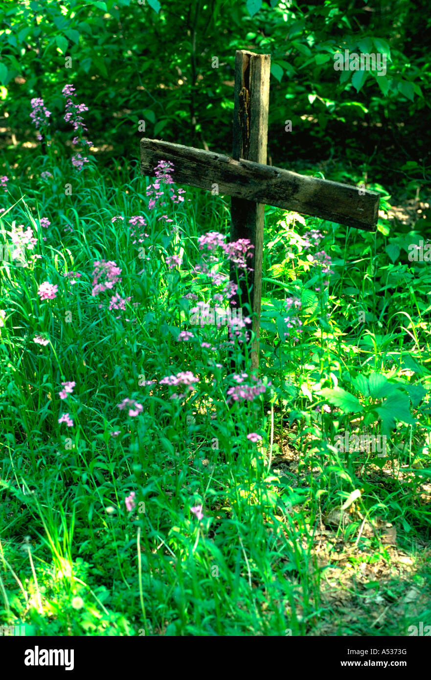 Rugged wooden cross nestled in wild flowers. Clitherall Minnesota USA ...