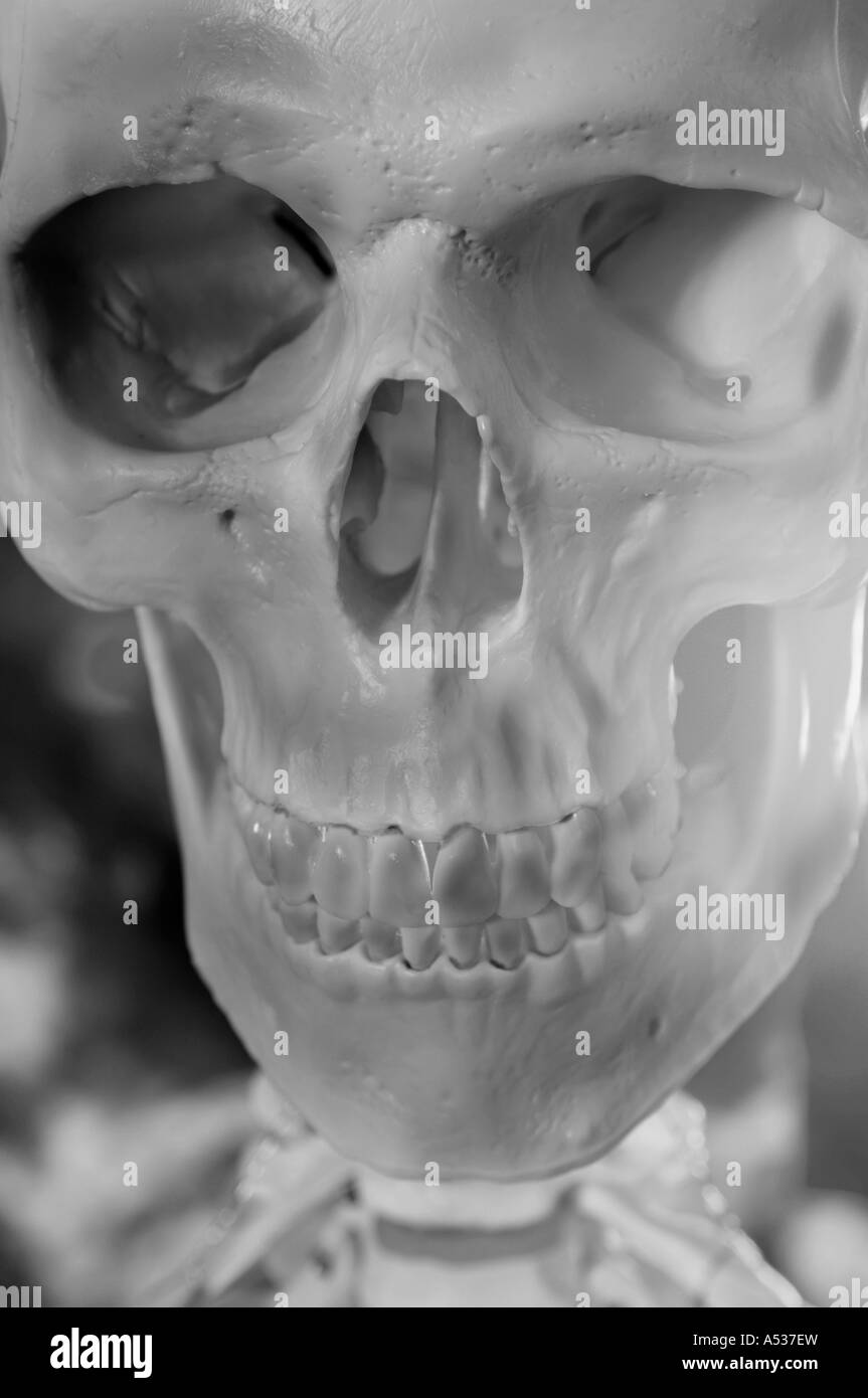Head and shoulder bone Black and White Stock Photos & Images - Alamy