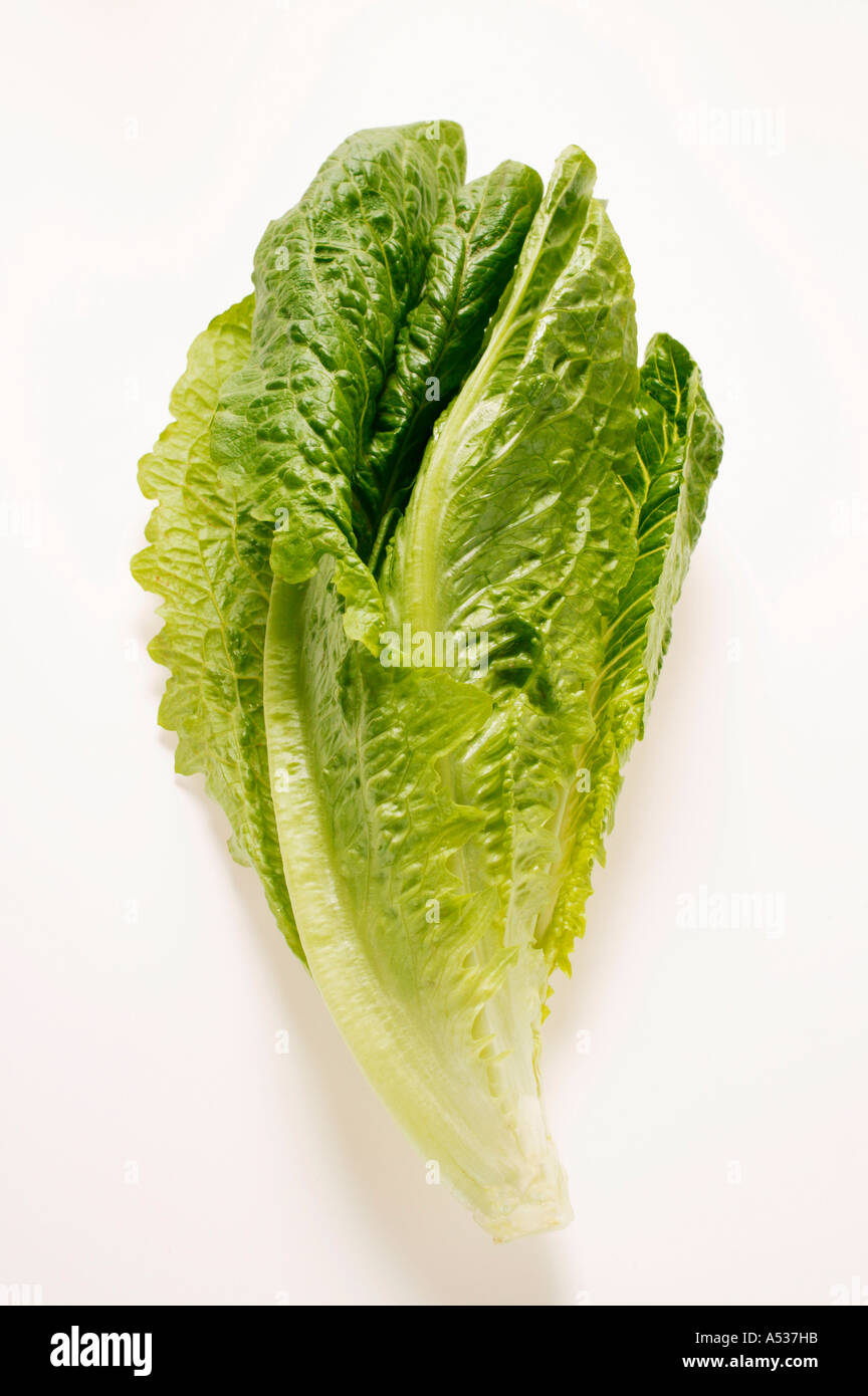 Cos lettuce cut out hi-res stock photography and images - Alamy