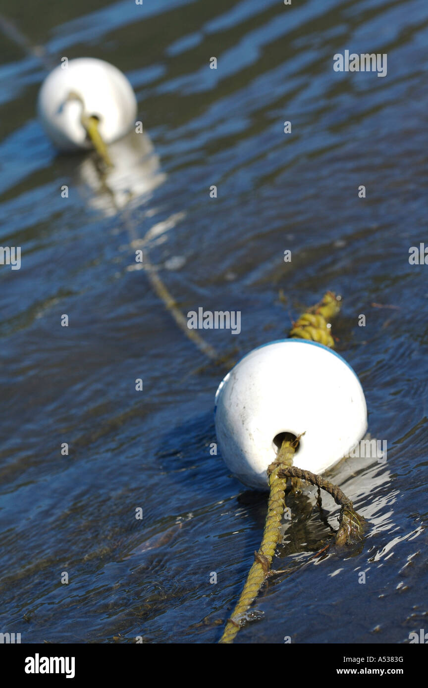 Water Boys Floating Stock Photo - Alamy