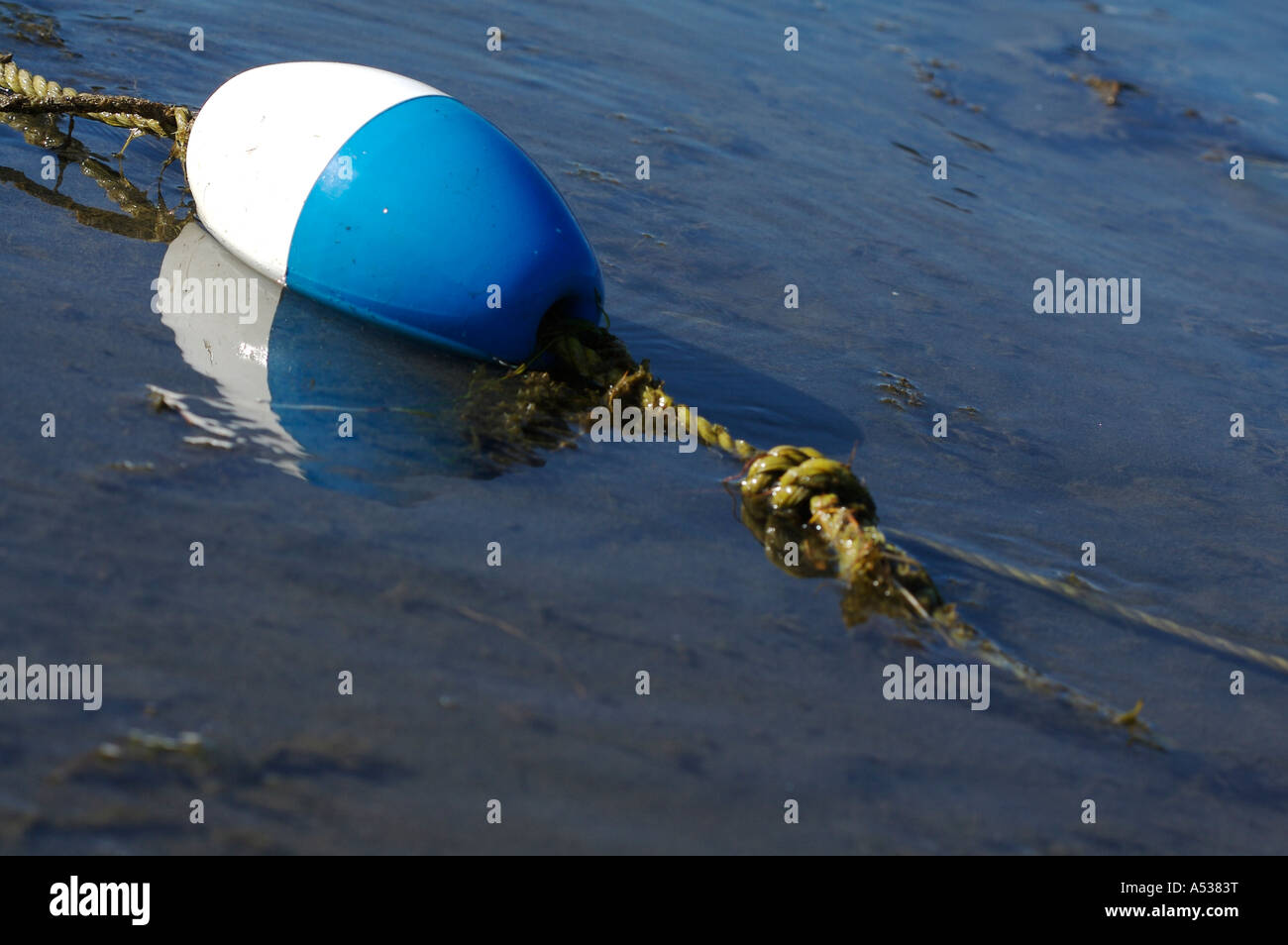 Water Boy Floating Stock Photo - Alamy