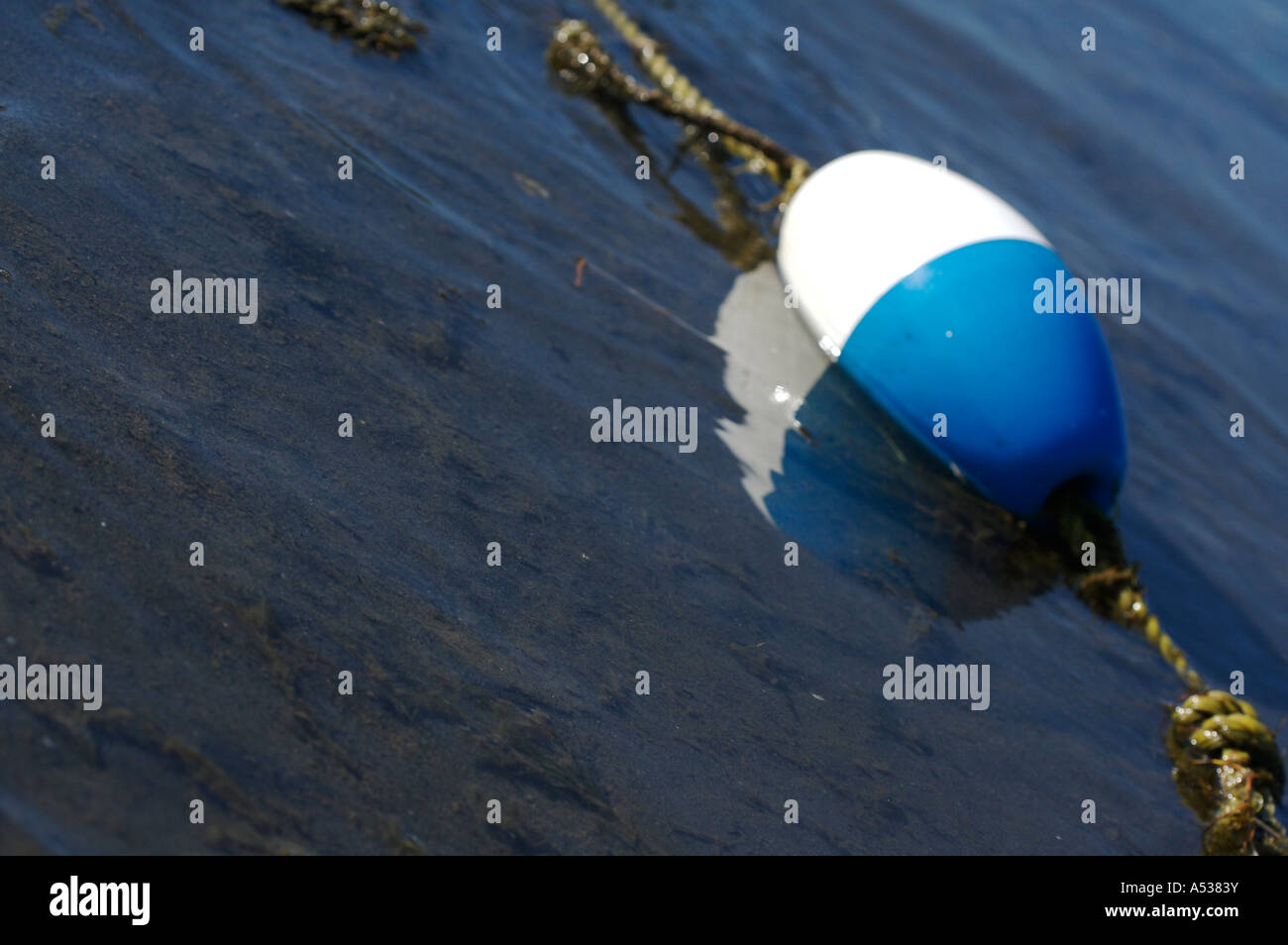 Water Boy Floating Stock Photo - Alamy