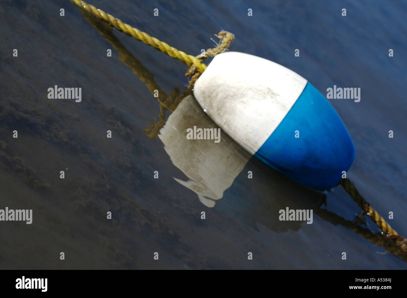 Water Boy Floating Stock Photo - Alamy