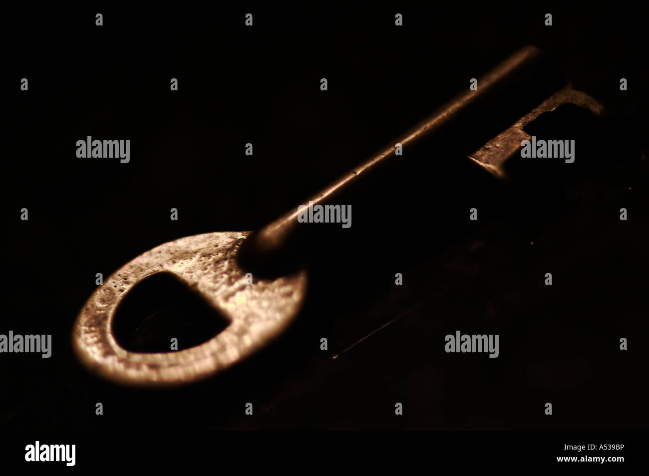 Macro: Skeleton Key shot in Shadow with Selective Light Stock Photo - Alamy