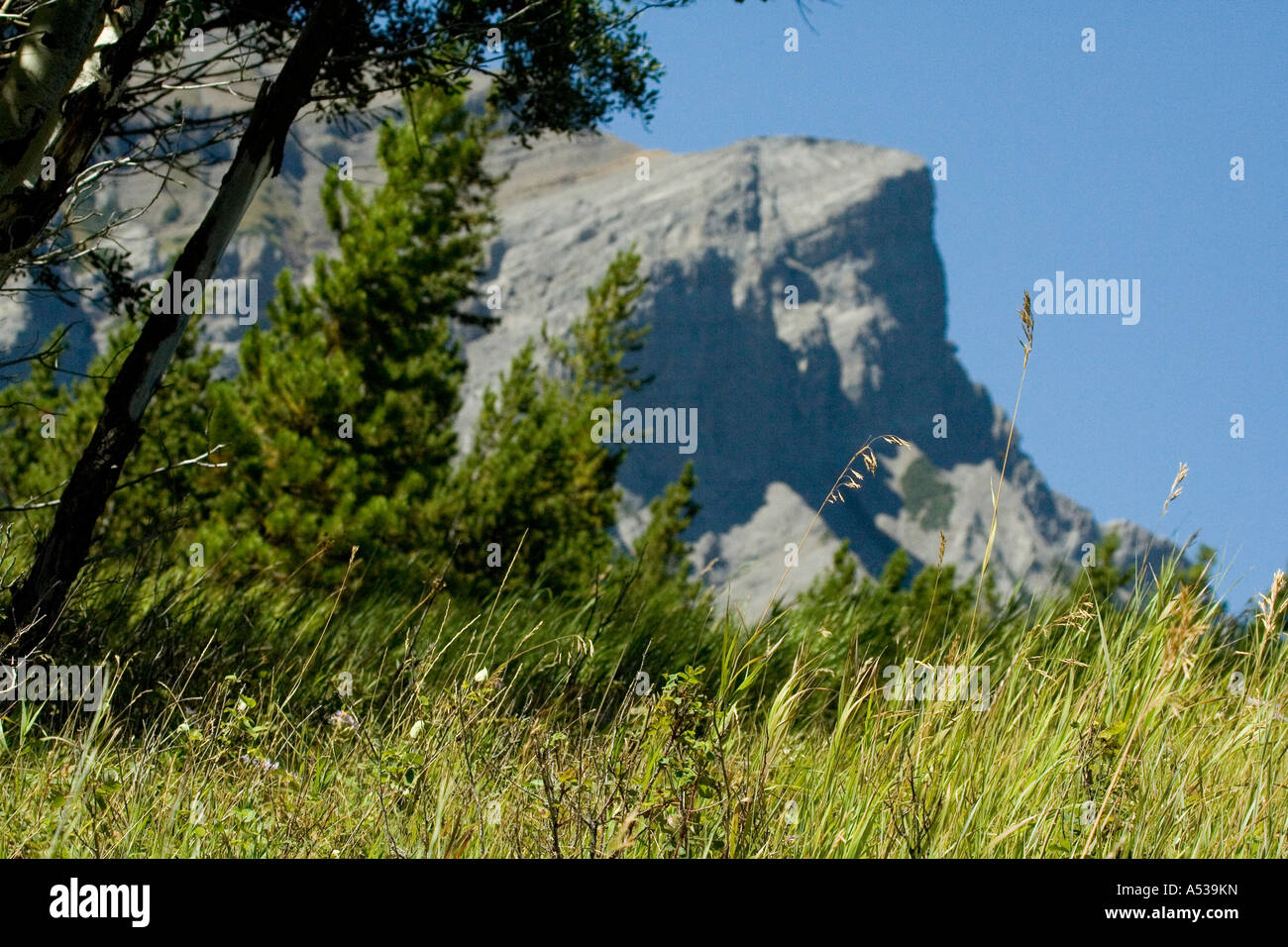 Scenic: Rocky Mountains at Noon Stock Photo - Alamy