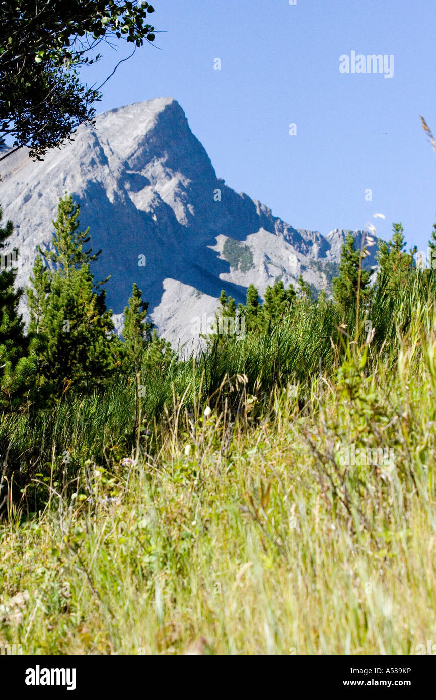 Scenic: Rocky Mountains at Noon Stock Photo - Alamy