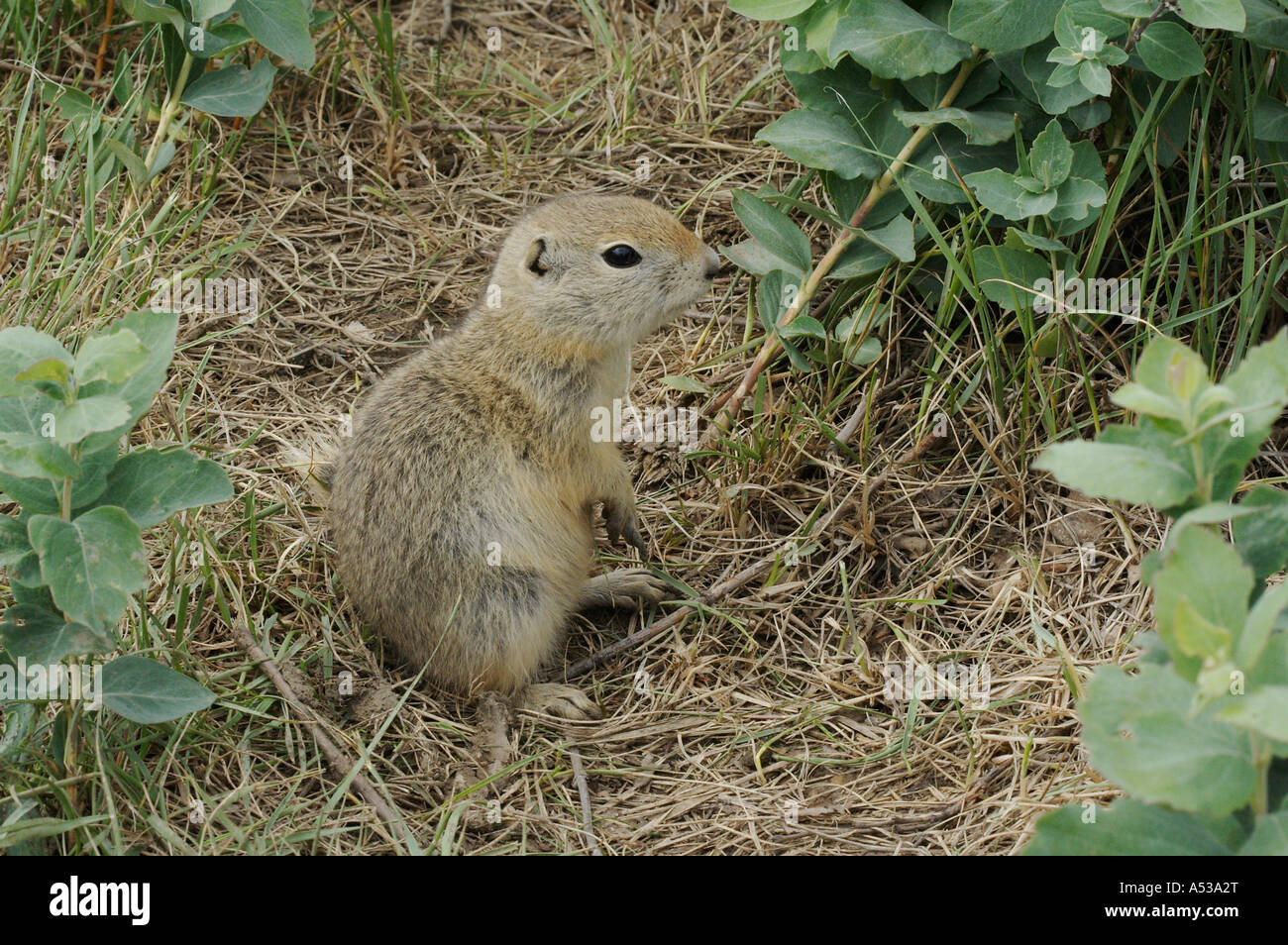 Interconnected lives hi-res stock photography and images - Alamy