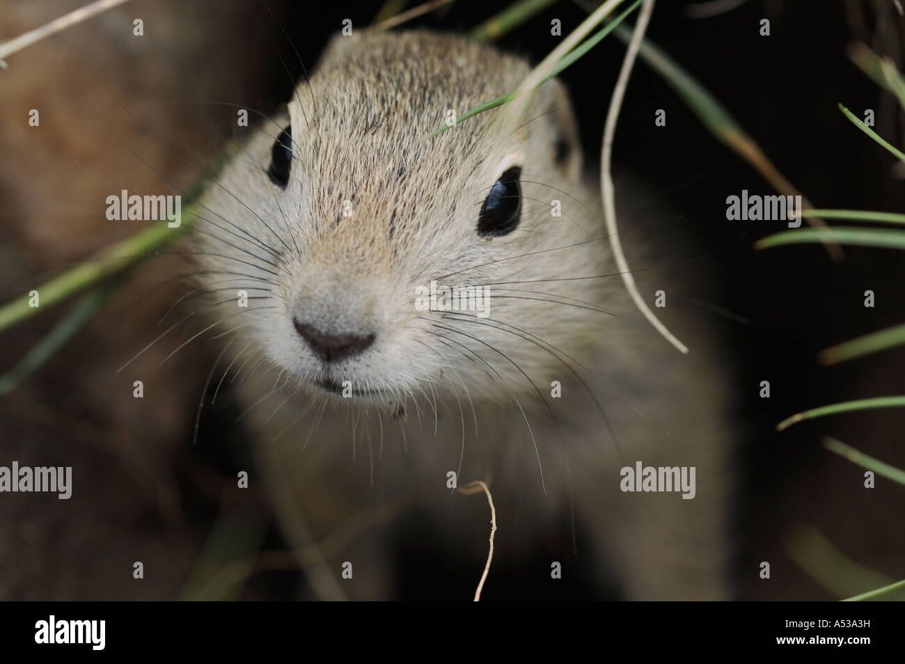 Interconnected lives hi-res stock photography and images - Alamy