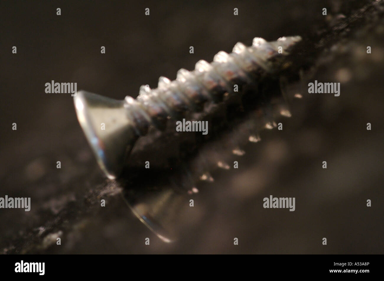 Macro: Mirrored Screw Stock Photo - Alamy