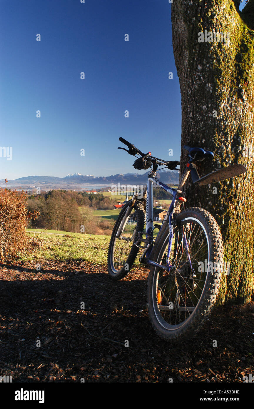 Bike leaning against tree hi-res stock photography and images - Alamy